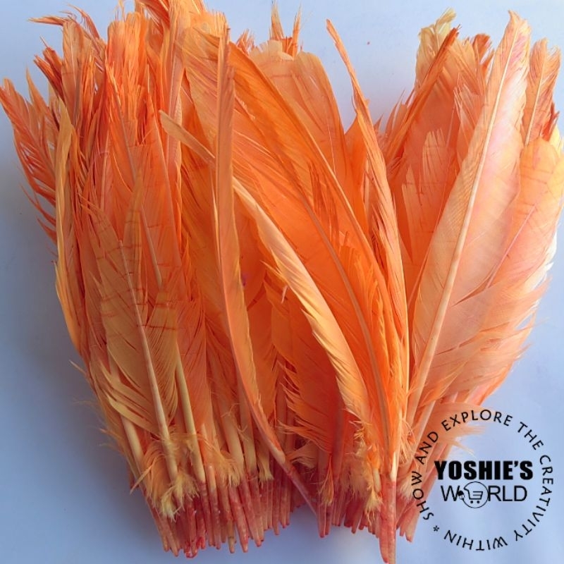 30 grams CHICKEN Balahibo Feather PAKPAK for DIY crafting decorations ...
