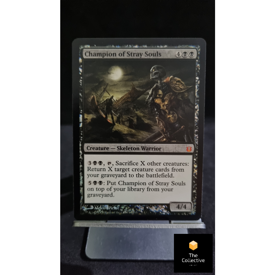 Magic the Gathering - MTG Card Game - Champion of Stray Souls - BNG ...