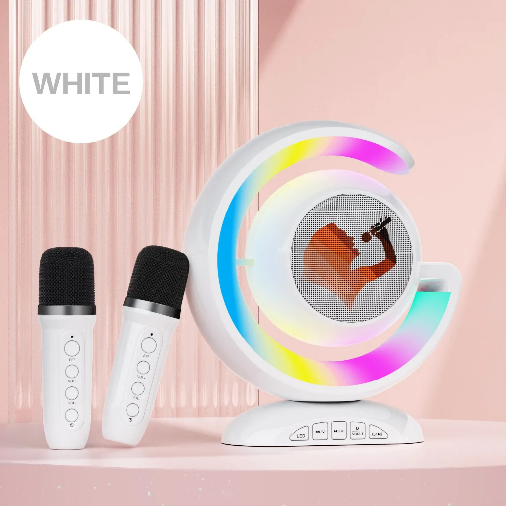 YS-110 Karaoke Machine Portable Bluetooth 5.3 Speaker System with 2 ...