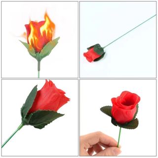 Torch To Rose Mystical Fire Magic Trick Flame Appearing Flower Magician ...