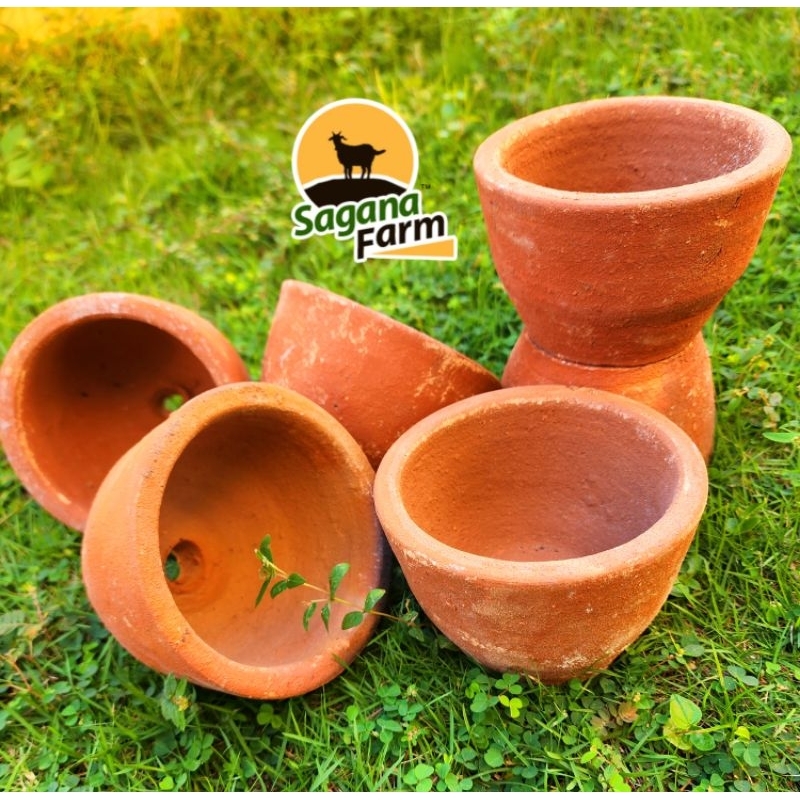 Clay Pots for Plants Small w/ Hole | Shopee Philippines