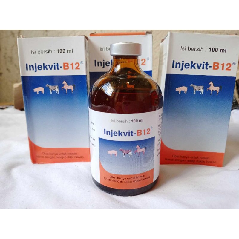 VITAMIN B12 1000MCG FOR ANIMALS 100ML | Shopee Philippines