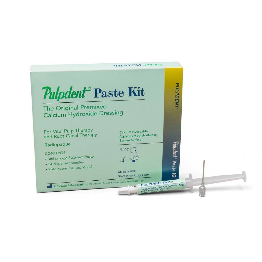 PULPDENT PASTE KIT Pre-mixed Calcium Hydroxide Paste For Root Canal ...