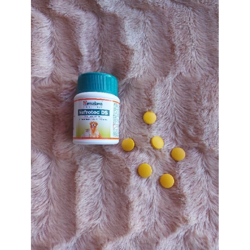 Nefrotec Ds (sold per tablet) | Shopee Philippines