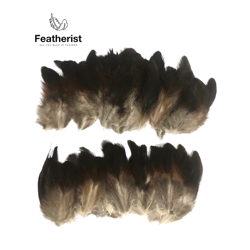 100 PCS DIY Feathers | Bilog | Arts and Crafts | Authentic Chicken ...