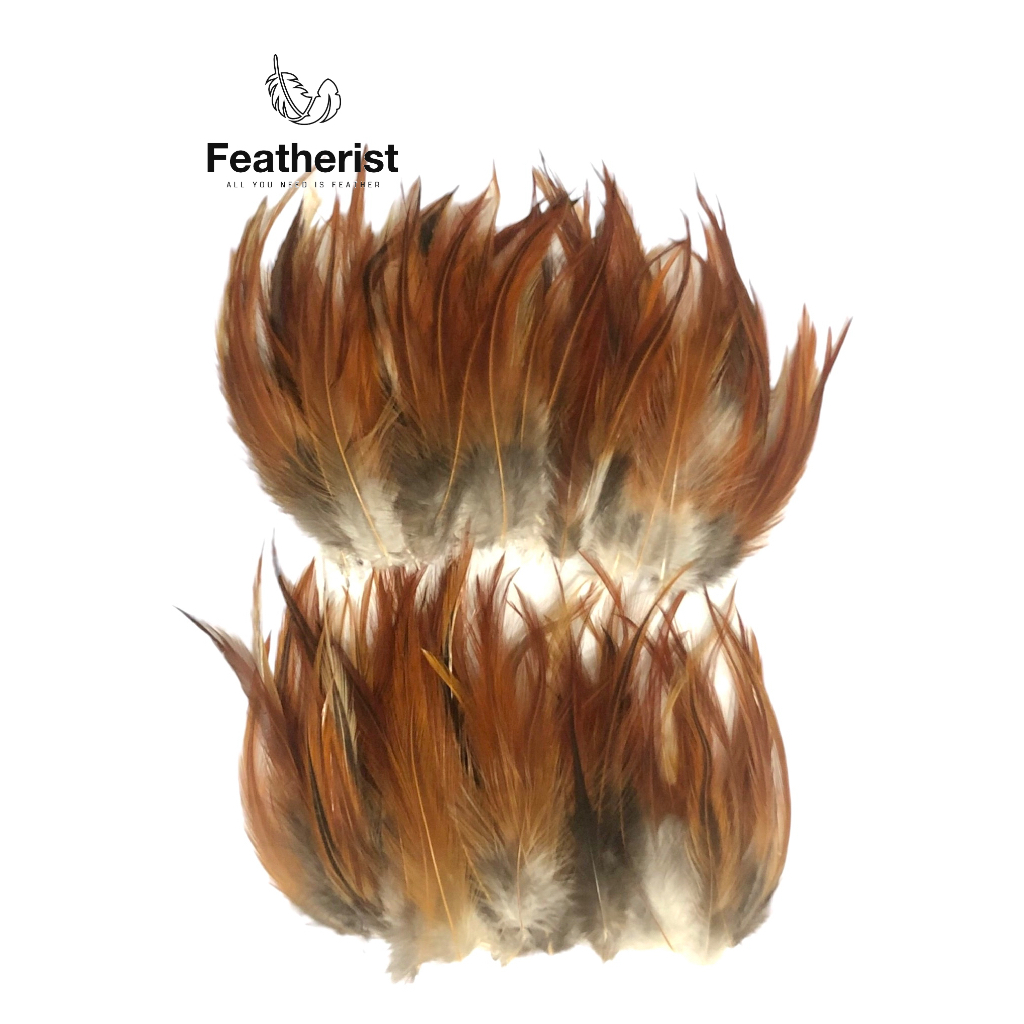 100 PCS DIY Feathers | Pantay | Arts and Crafts | Authentic Chicken ...