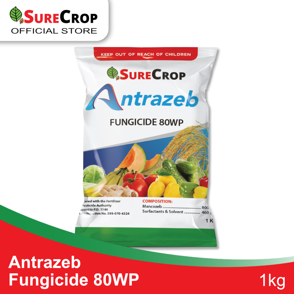 Antrazeb 80 WP Fungicide, Sure Crop, 1 Kg | Shopee Philippines