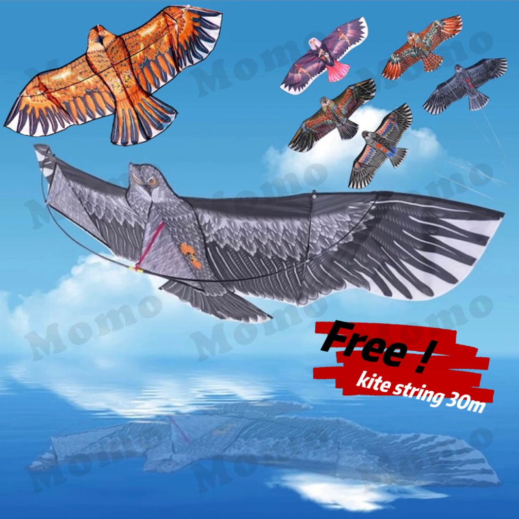 Eagle kite for kids with string kite for adult long tail kite flying ...