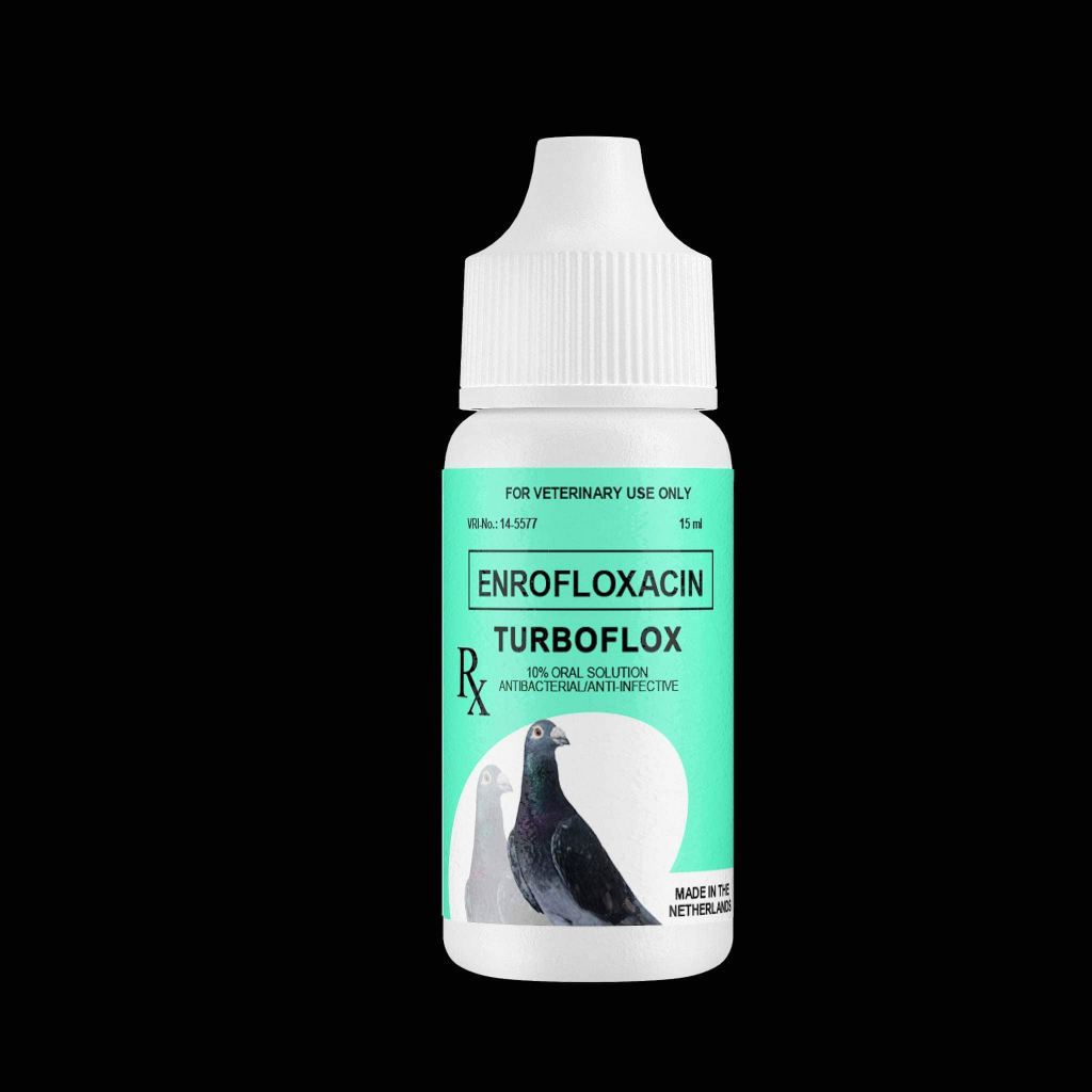 Kampeon Turboflox 15ml | Shopee Philippines