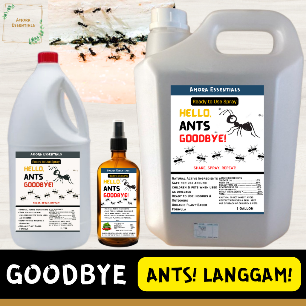 ANT KILLER SPRAY Spray for ants, termites, cockroach (Ant killer), Long ...