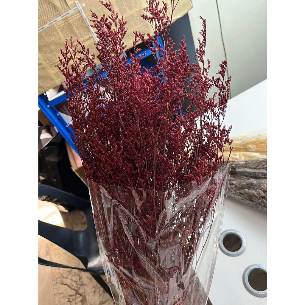 DRIED FLOWERS - Misty (Limonium) | Shopee Philippines
