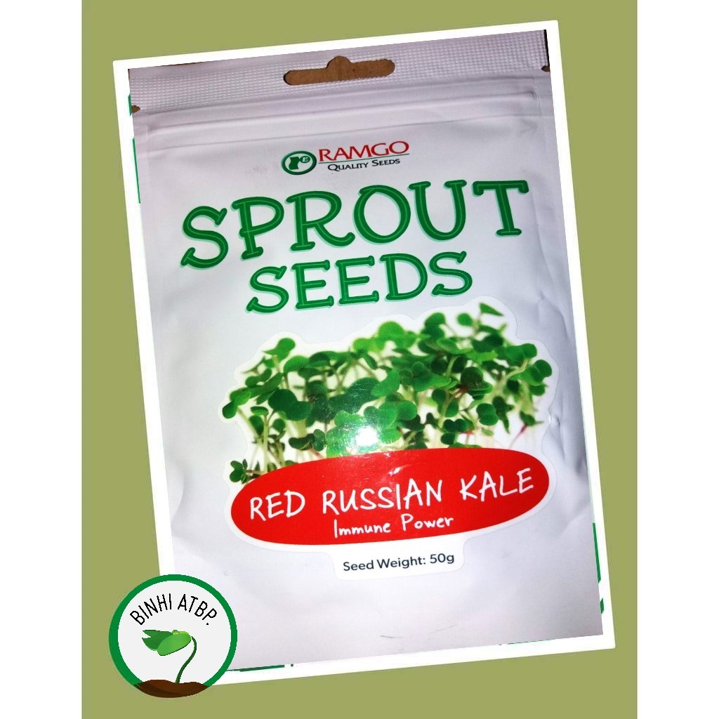 Ramgo Red Russian Kale (Immune Power) Sprouts Microgreen Seeds | Shopee ...
