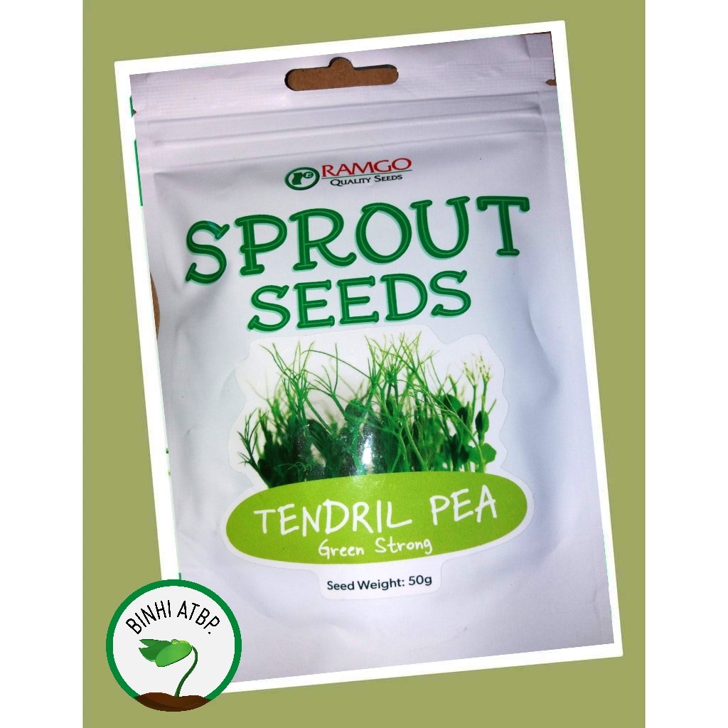 Ramgo Tendril Pea (Green Strong) Sprouts Microgreen Seeds | Shopee ...