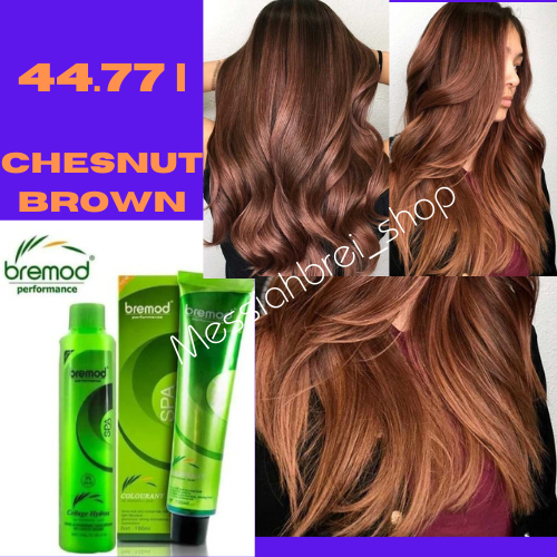 BREMOD 44.77 CHESTNUT HAIR COLOR SET WITH OXIDIZING | Shopee Philippines