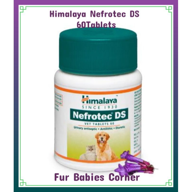 Nefrotec DS Diuretic And Urinary Antiseptic Kidney Supplement For Pets ...