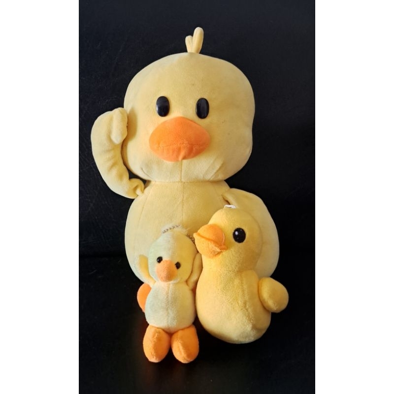 Duck Bundle (3pieces) | Shopee Philippines