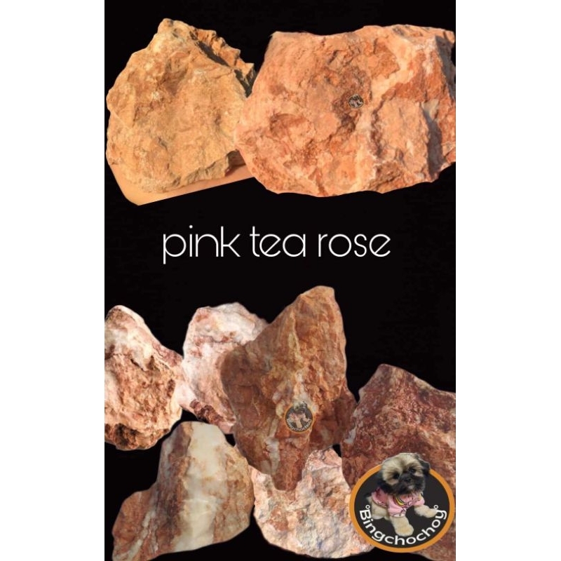 Pink Tea Rose/ Pink Seiryu Stone | Shopee Philippines