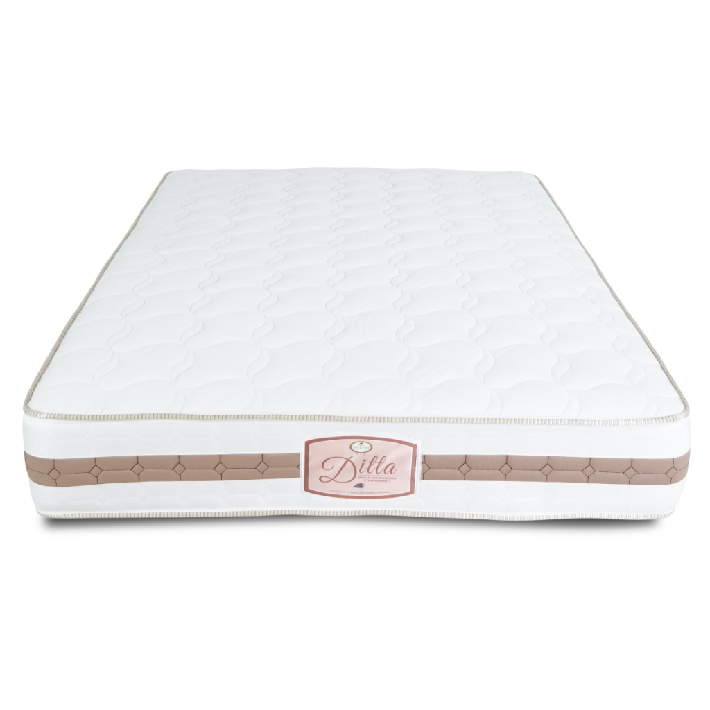Salem Ditta Spring Mattress Double size | Shopee Philippines