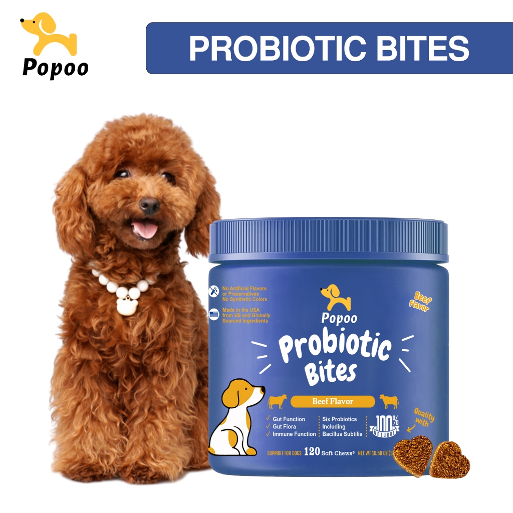 Popoo Probiotic Bites [Beef Flavor] HeIps Dog Reduce Diarrhea & Gas ...