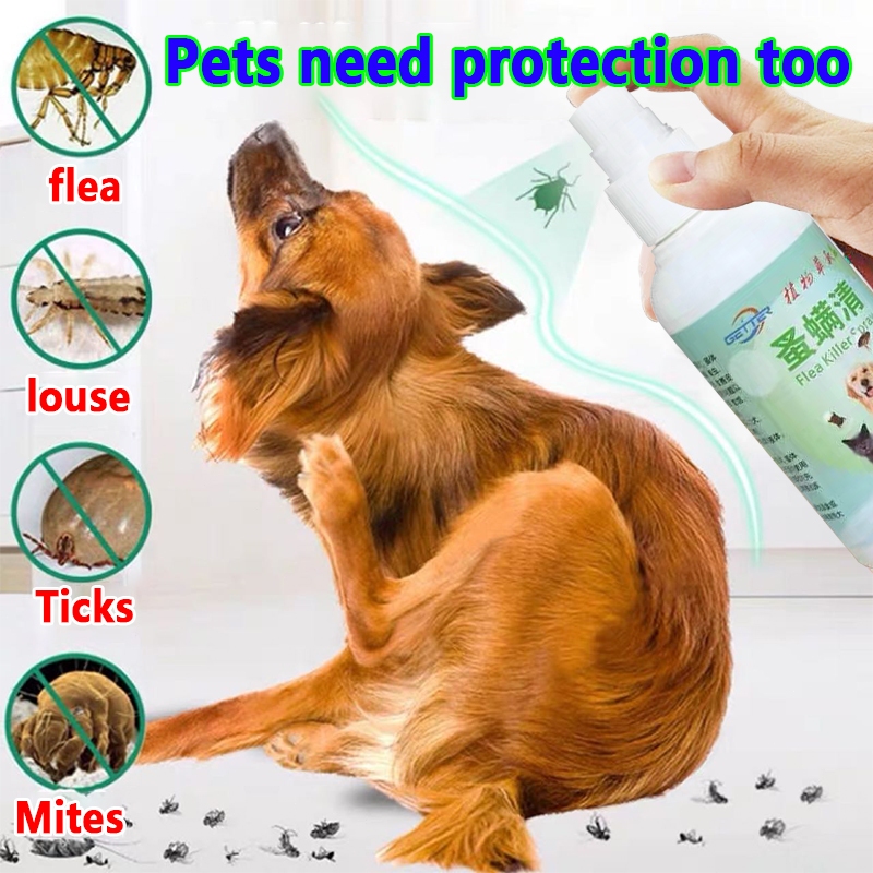 Tickand Flea Killer 600ML.Pet Insect Repellent Spray Tick and Flea ...