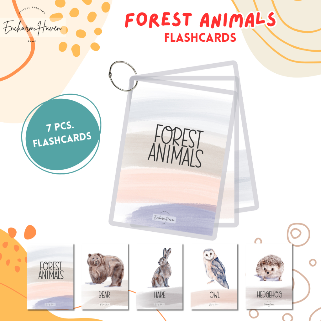 'FOREST ANIMAL' Fully Laminated Educational Flashcards [7 pcs ...