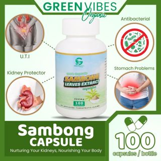 Sambong Capsule for UTI Support, Healthy Gall Bladder, Kidney Cleanse ...