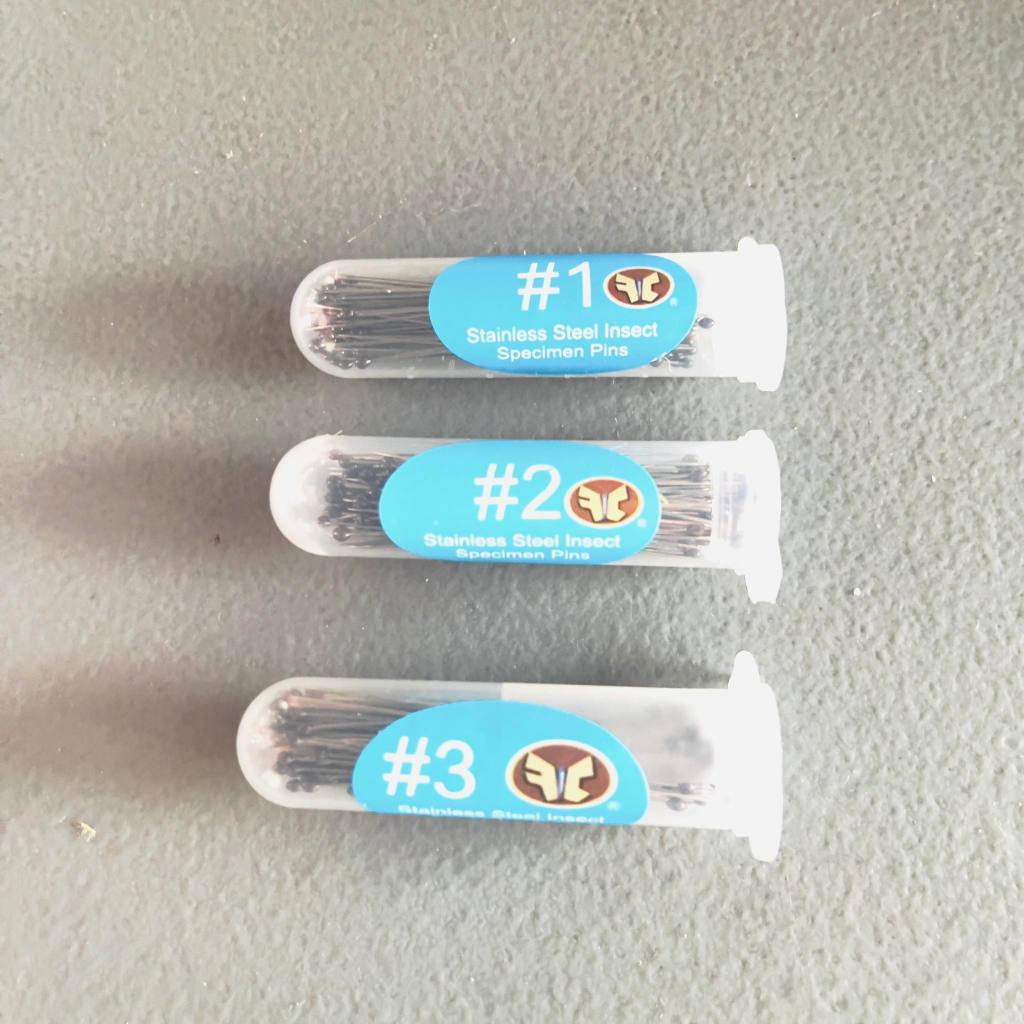 100pcs Stainless Steel Insect Pins, Specimen Entomology Pins | Shopee ...