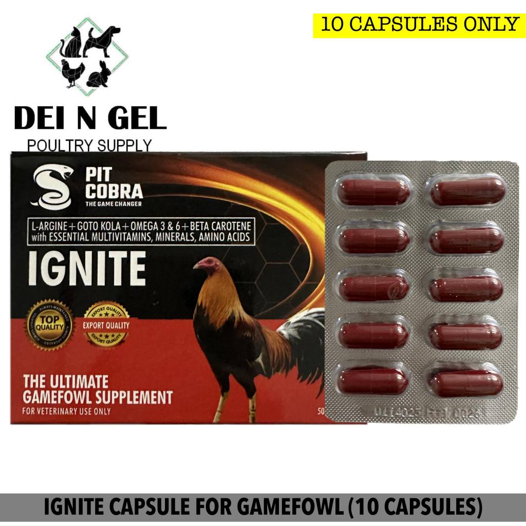 PIT COBRA IGNITE CAPSULE FOR GAMEFOWL (10 CAPSULES) | Shopee Philippines