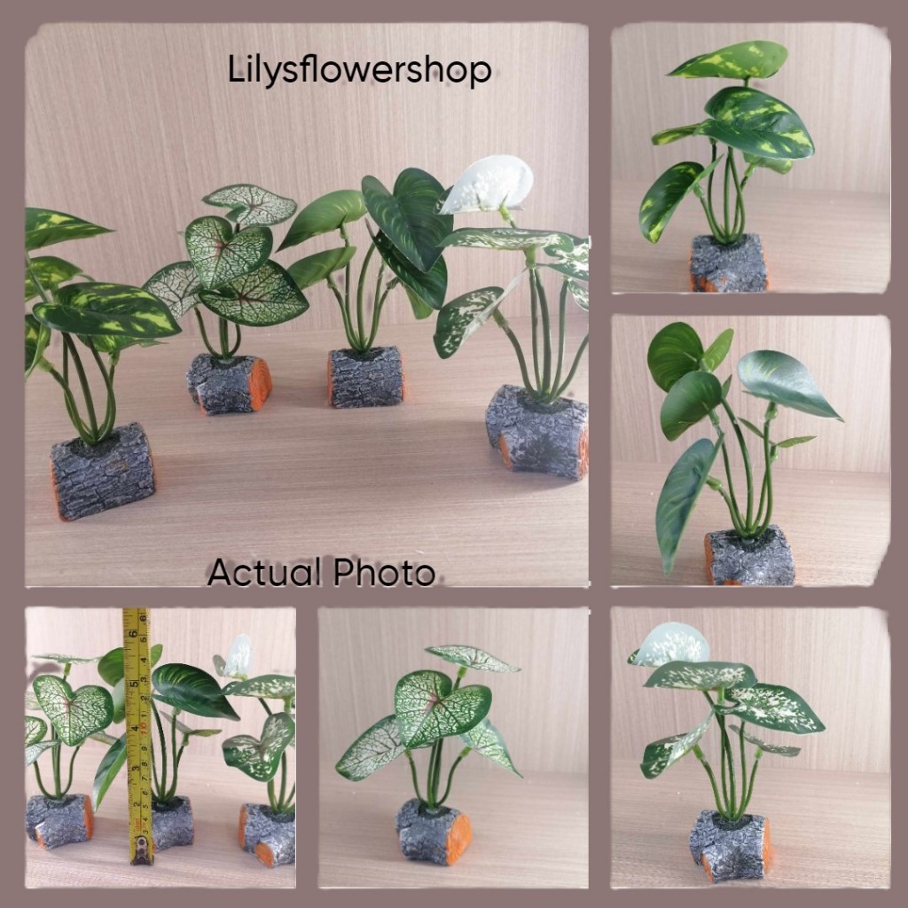 Artificial Bonsai Plant Random Leaves Perfect Display for Table Office ...