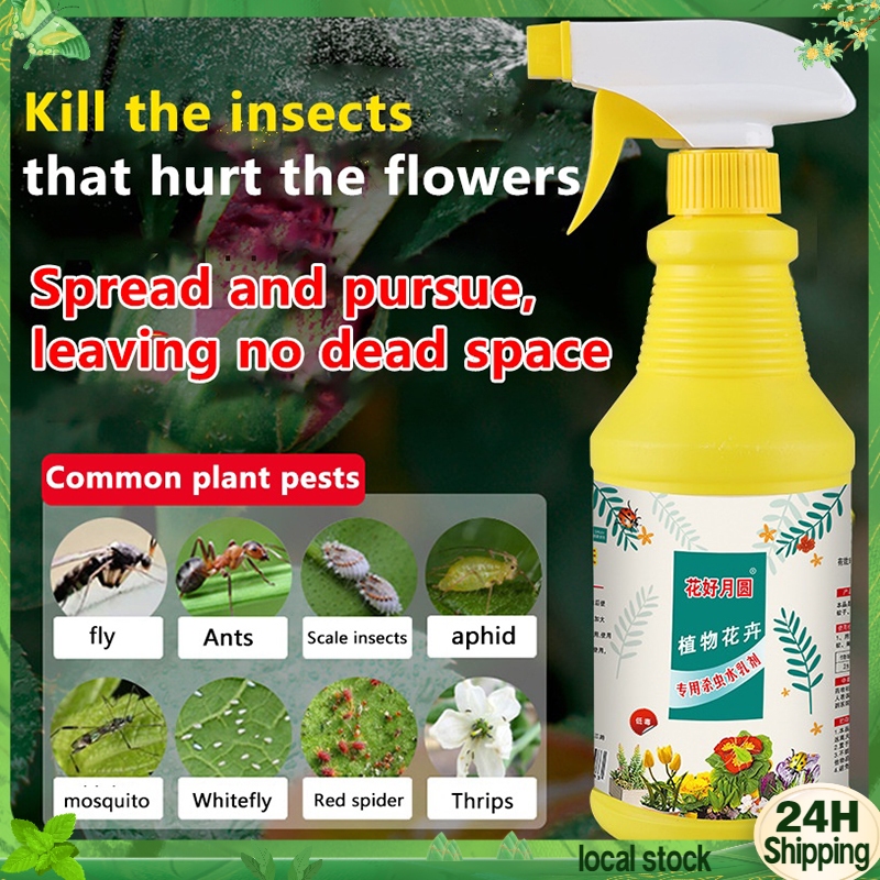 500ML Organic Insecticide For Plants And Vegetables Flowers Insecticide ...