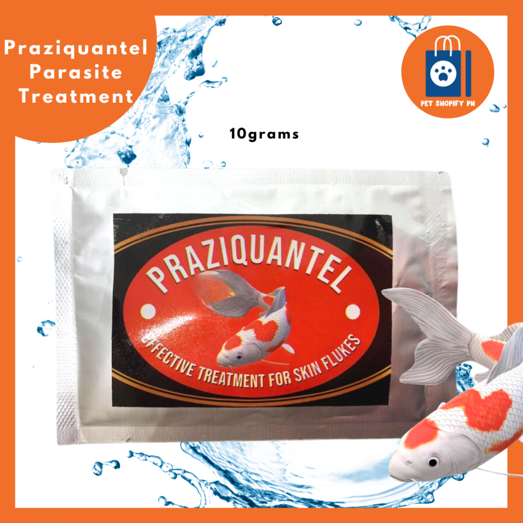 Aquarium Praziquantel Parasite Treatment for Fish 10grams | Shopee ...