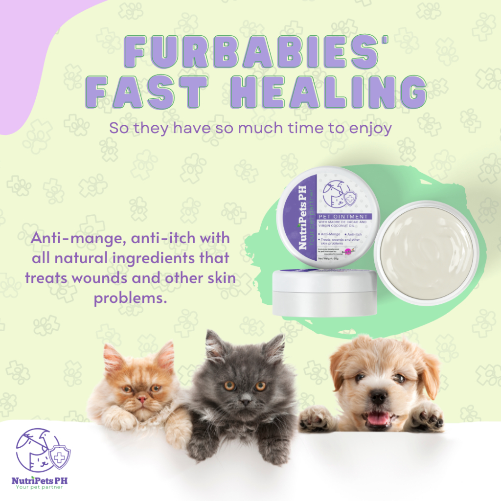 SUGAT GALIS DOG CAT Ointment 60g,Madre de Cacao,Virgin Coconut Oil ...