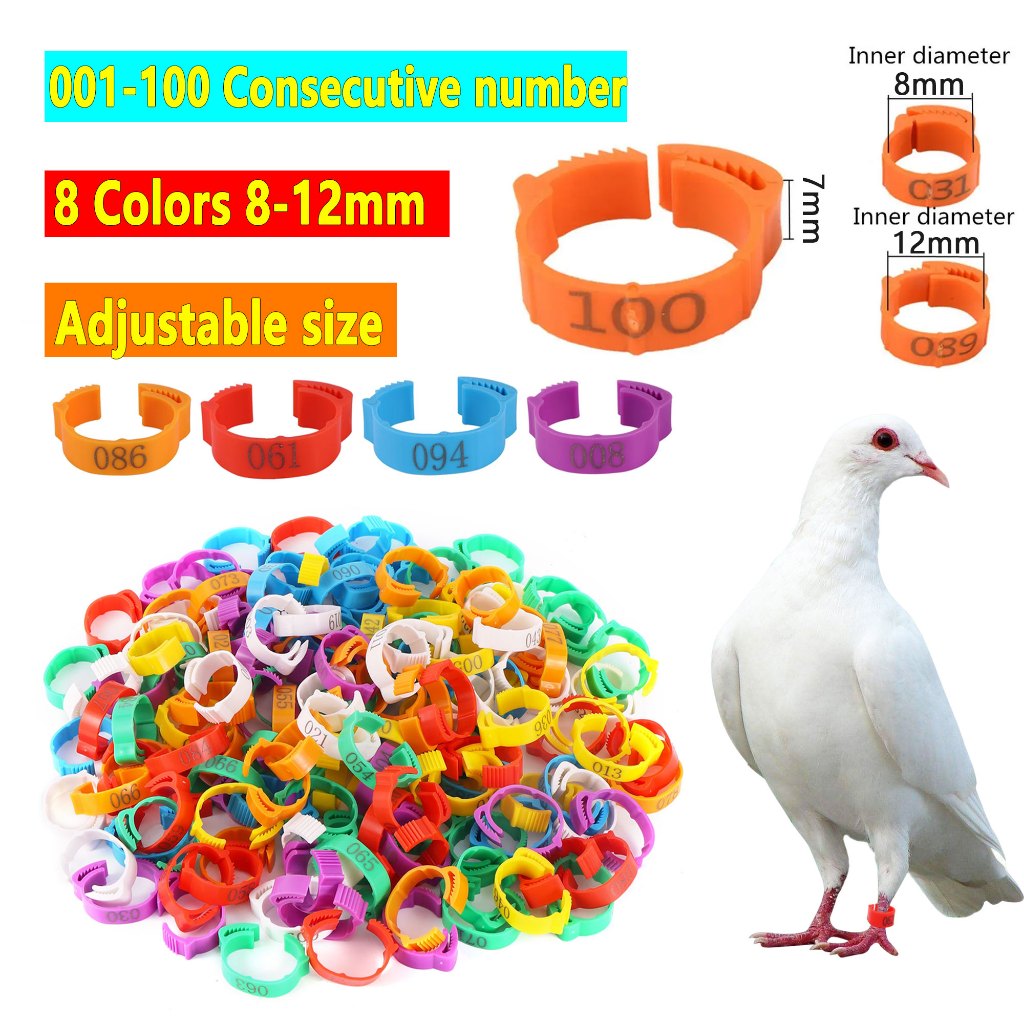 100Pcs Adjustable Pigeon ring 2025 Pigeon leg ring singsing ng kalapati ...
