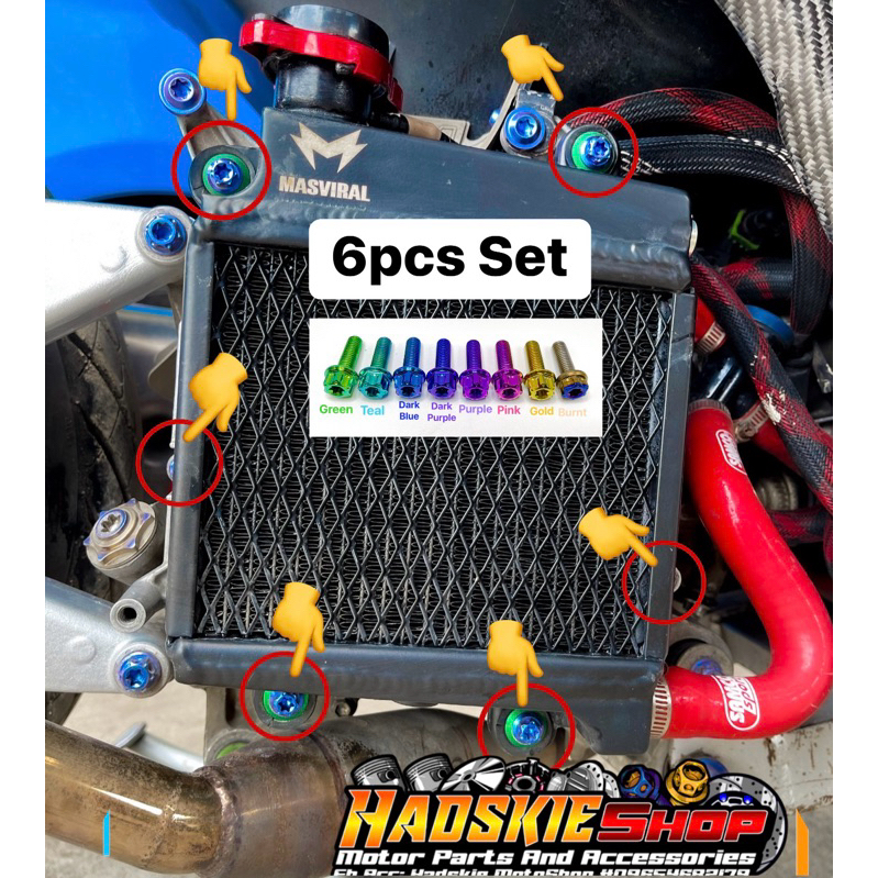 REAL TITANIUM GR5 AEROX/NMAX RADIATOR BOLTS SET (6pcs) | Shopee Philippines