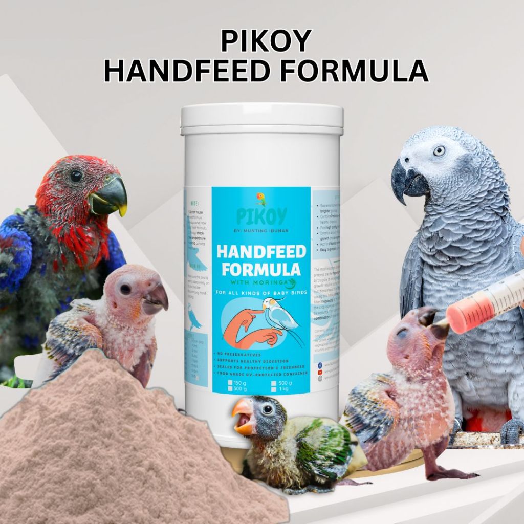 PIKOY Handfeed Formula 1 KILO - Hand Feeding For All Kinds of Baby ...