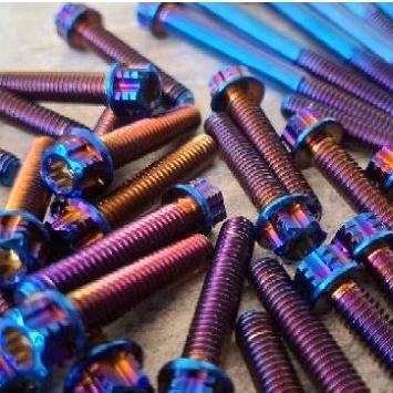 Gr5 titanium bolts 6mm (burnt blue) | Shopee Philippines