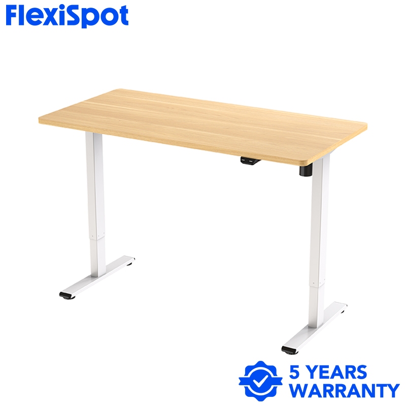 FlexiSpot E2 Electric Standing Desk Height Adjustable Table | Shopee ...