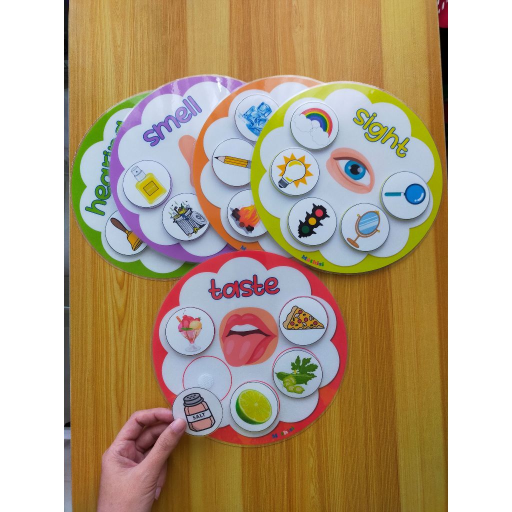 5 Senses Learning Worksheet for Kids | Intercative Sorting Set | Shopee ...