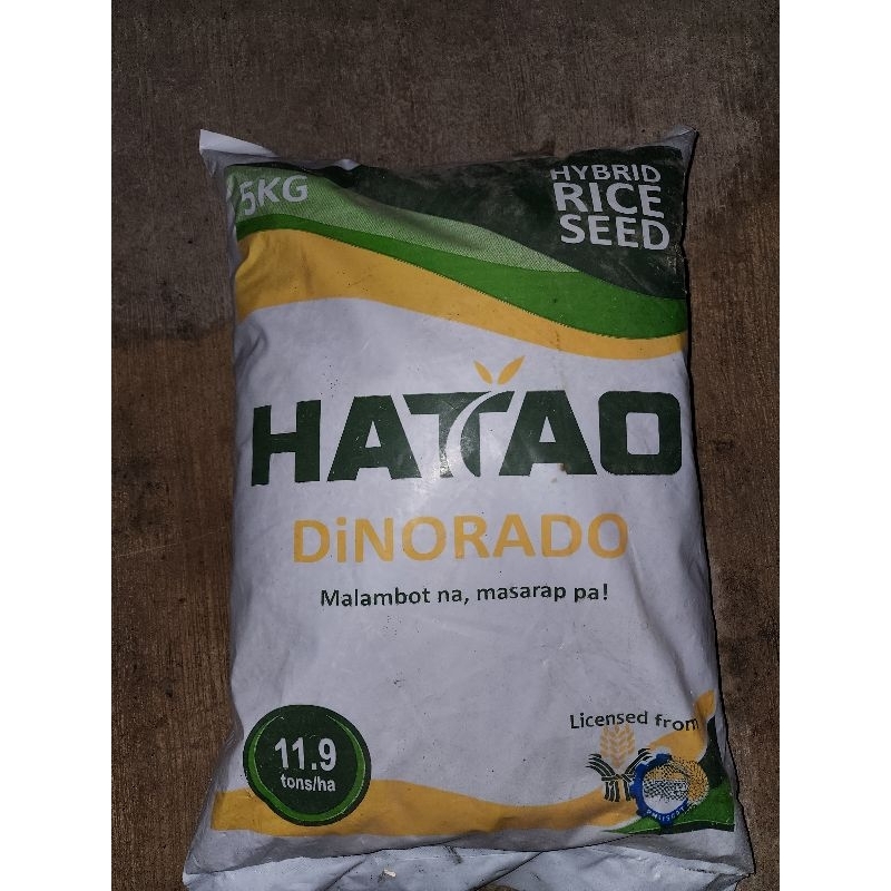 HATAO DiNORADO Hybrid Rice Seeds 3KGS | Shopee Philippines