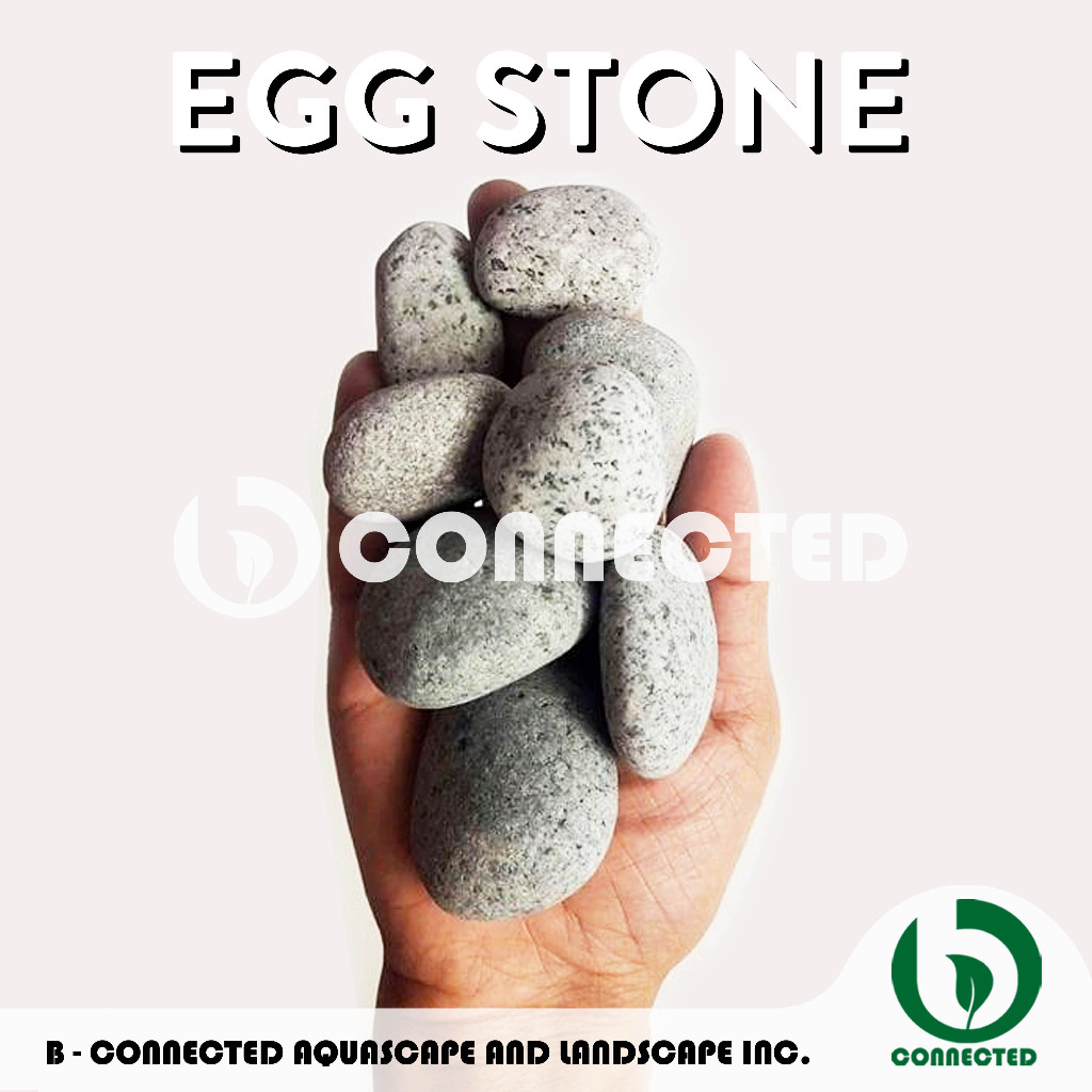 EGG STONE PEBBLES ROCK BY B-CONNECTED - INTERIOR / GARDEN / AQUARIUM ...