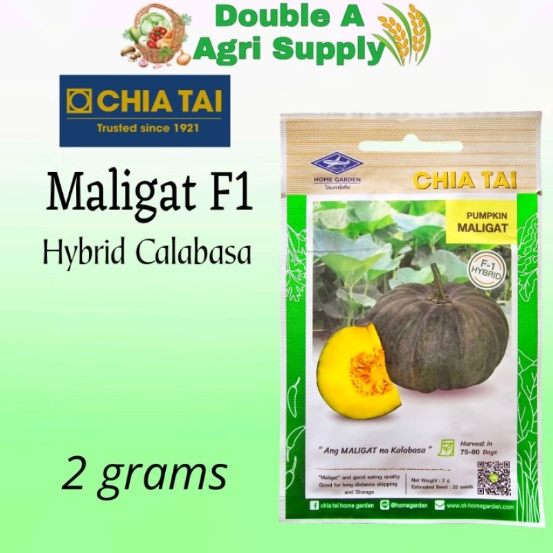 Maligat F1 Hybrid Calabasa Home Garden Pack - Chia Tai Seeds | Shopee ...