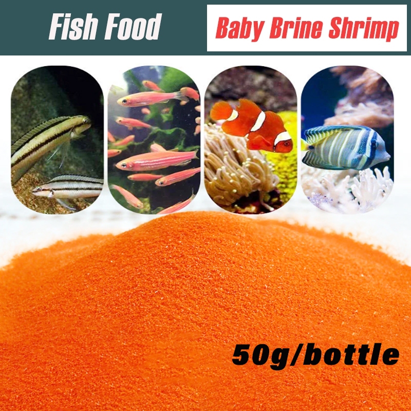 100g/bottle Baby Brine Shrimp BBS Decapsulated (Ready to Feed, No Need ...