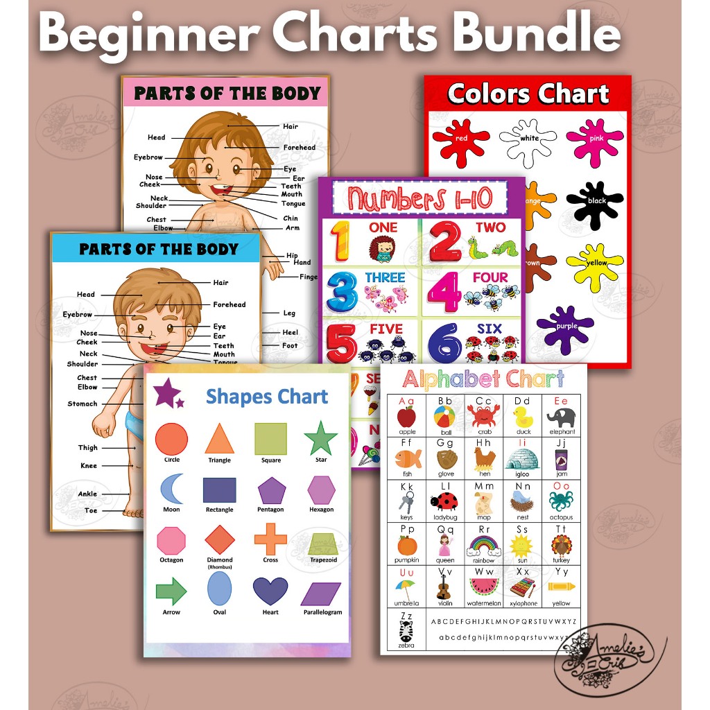 Bundle of 5 Beginner Minimalist Laminated Educational Charts for kids ...