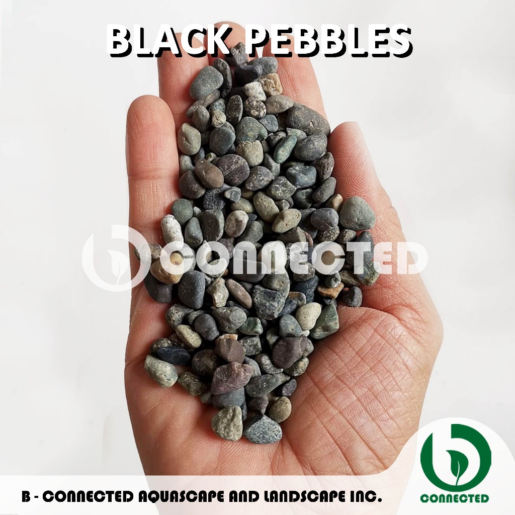 BLACK PEBBLES STONE ROCK BY B-CONNECTED - INTERIOR / GARDEN / AQUARIUM ...