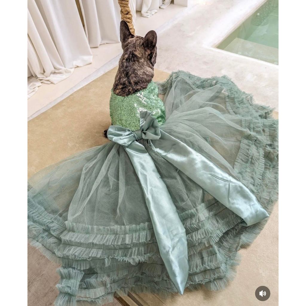DOG GOWN / DOG DRESS/ PET GOWN/ PET DRESS | Shopee Philippines