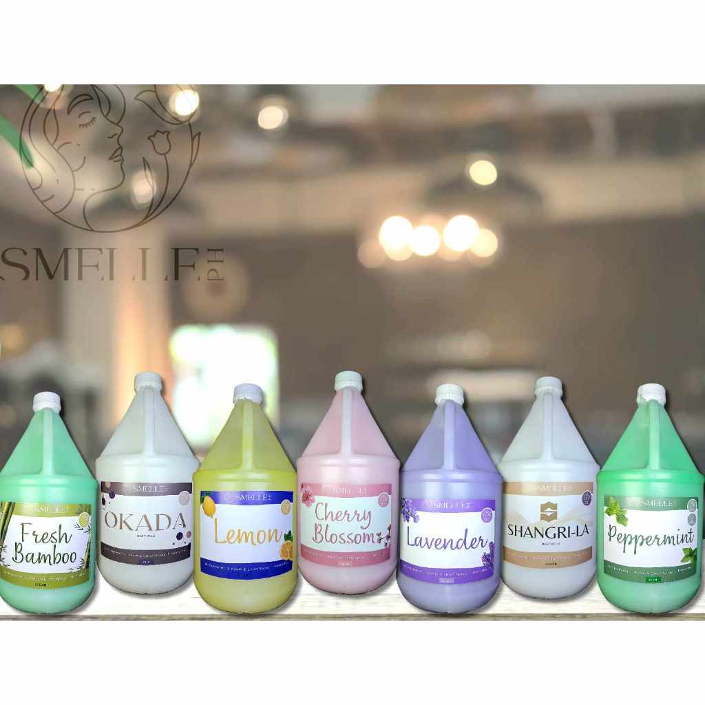 Air Freshener/Room and Linen Spray/ Humidifier | Shopee Philippines