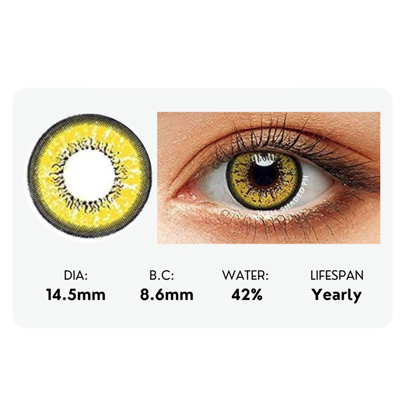 WELLSHADEDPH NOIR YELLOW CONTACT LENS NO GRADE (with lens case only ...