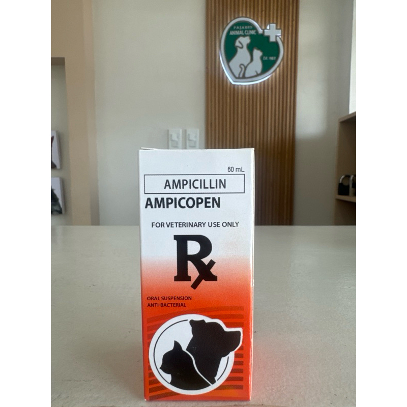 Ampicopen (Ampicillin) | Shopee Philippines