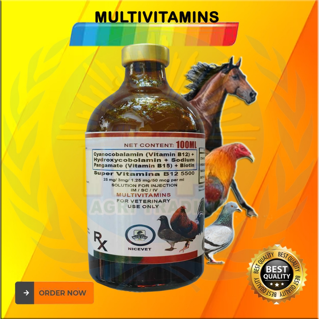 SUPER VITAMINA B12 5500MCG (100ML) | Shopee Philippines