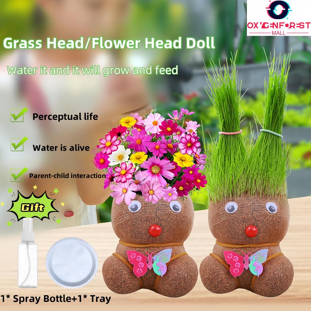Grass Head Doll Creative Mini Green Plant Indoor Potted Plant Toy Gift ...